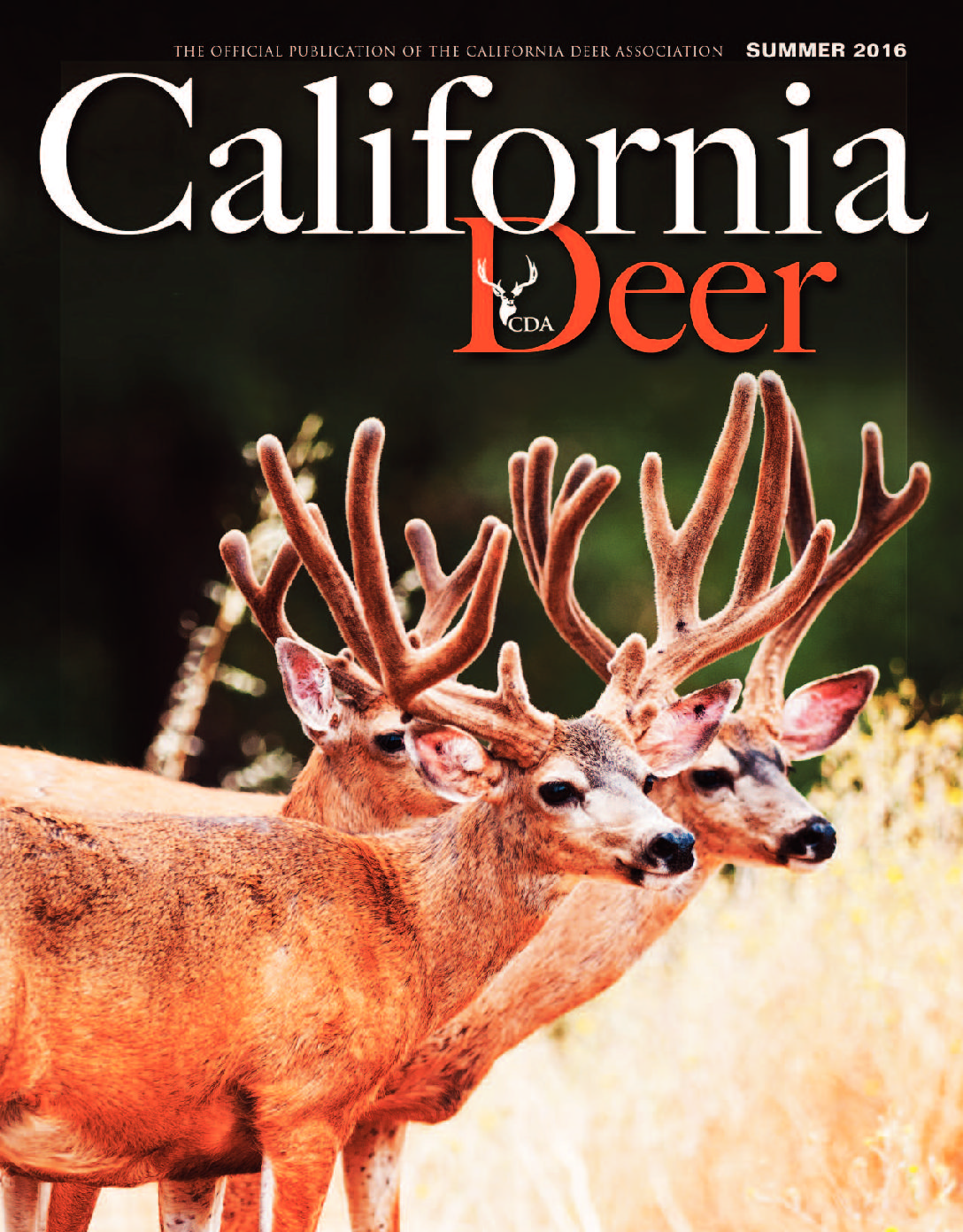 Newsletter – California Deer Association